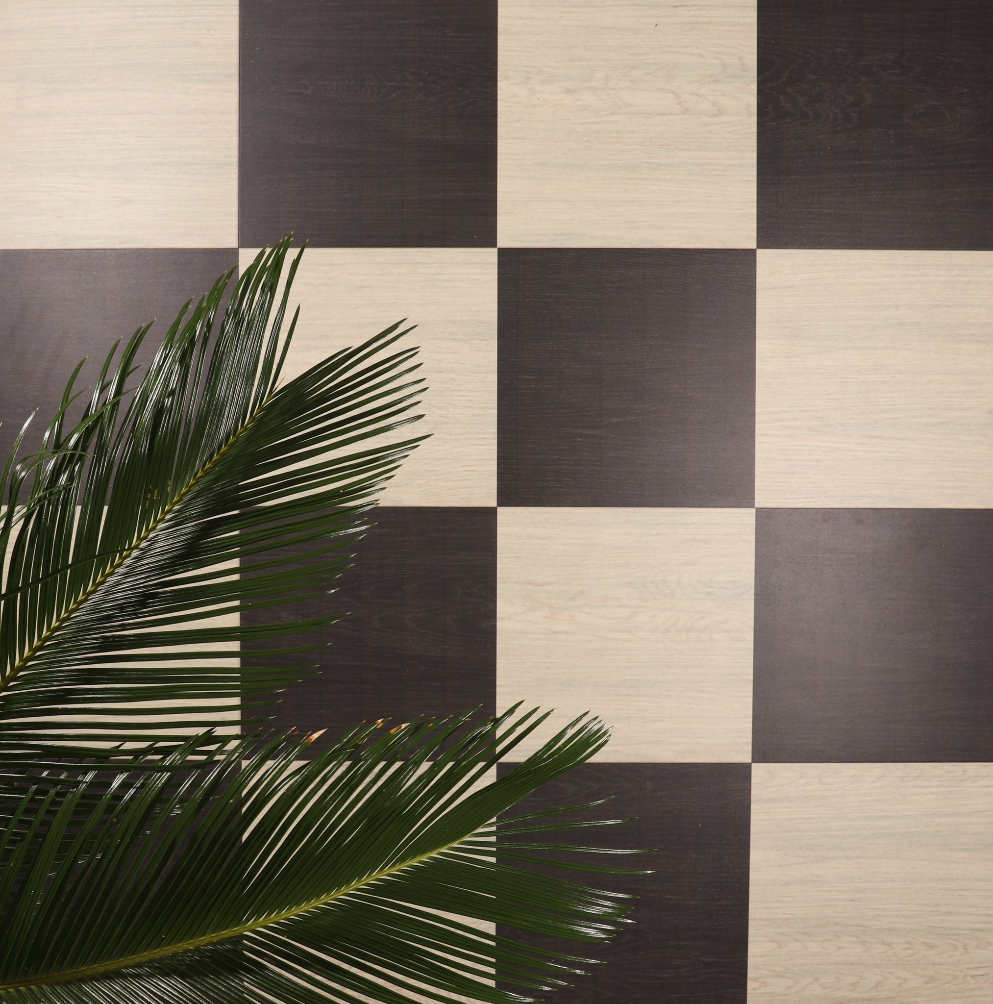 Black & White Checkerboard Hardwood | Mirth Studio