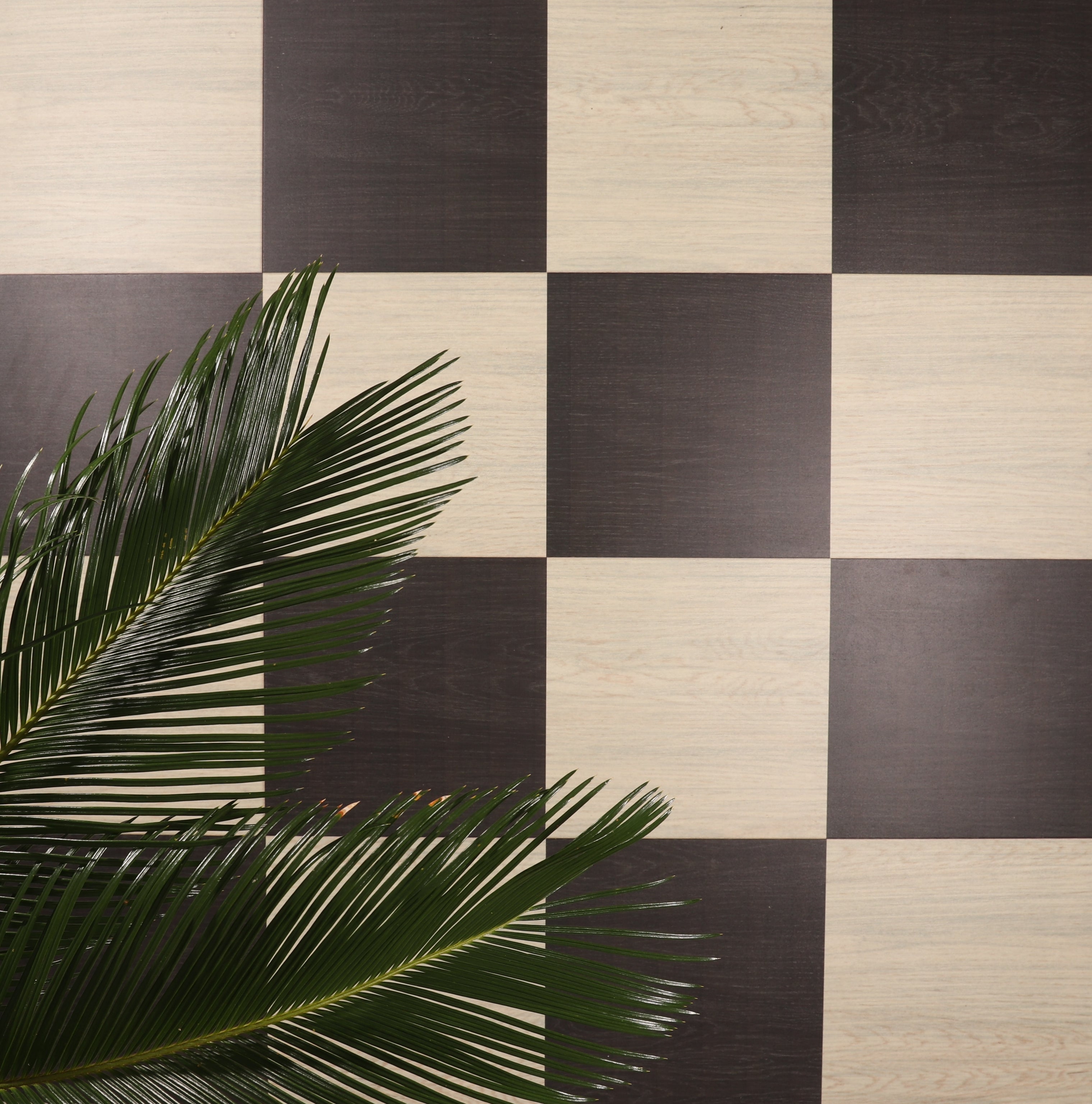 Black & White Checkerboard Hardwood | Mirth Studio